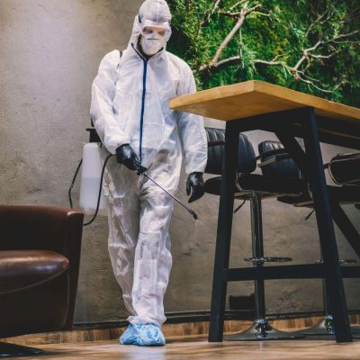 Eco Pest Sdn Bhd | Pest Control Services Malaysia